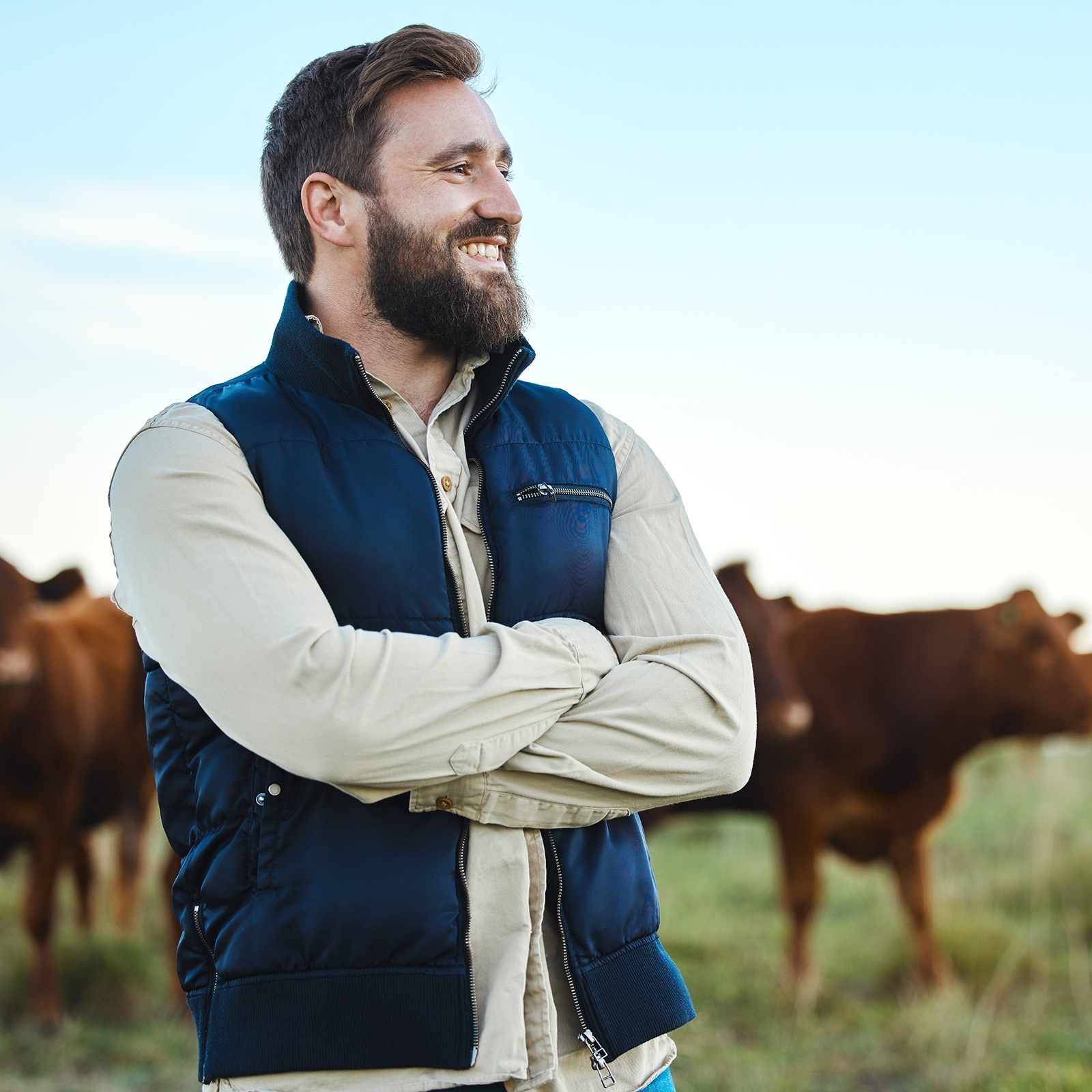 Rural & Farm Insurance - Bruce Chiene Insurance Brokers